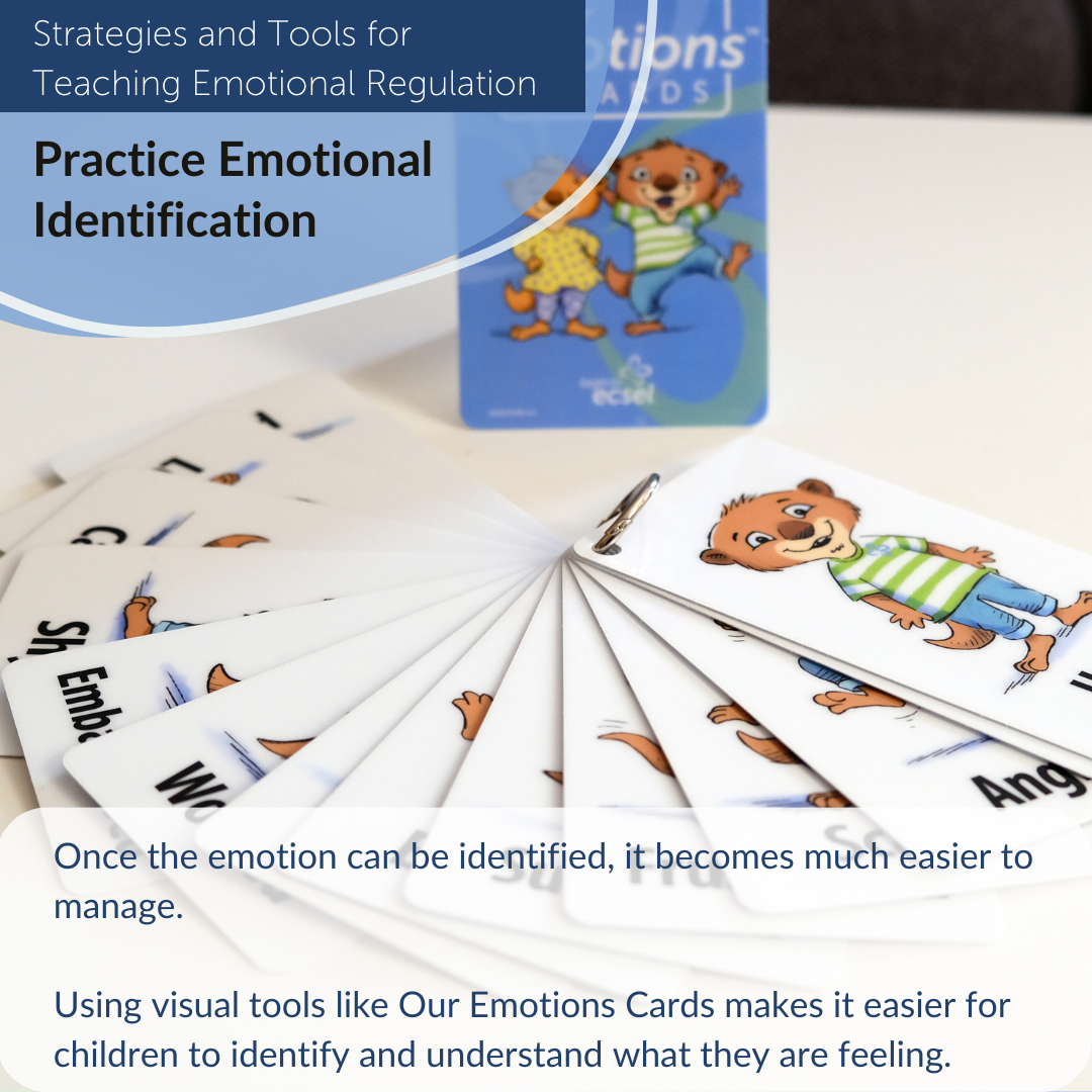 The Power of Emotional Regulation and Problem-Solving Skills